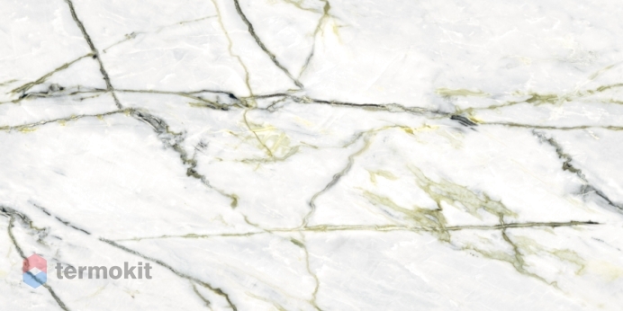 Керамогранит Neodom Splendida N40012 Calacatta Green (Book) Polished 60x120 (артикул: Т-979845 ...